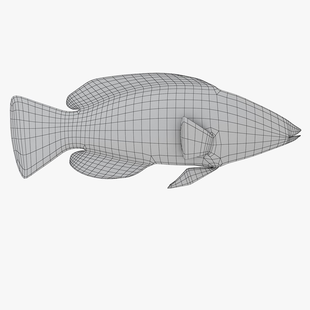 max saddleback hogfish