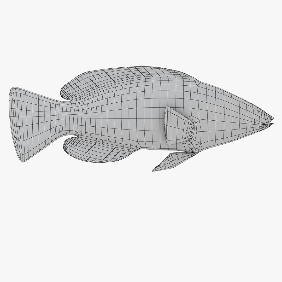 max saddleback hogfish