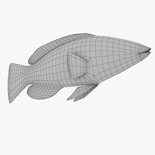 max saddleback hogfish