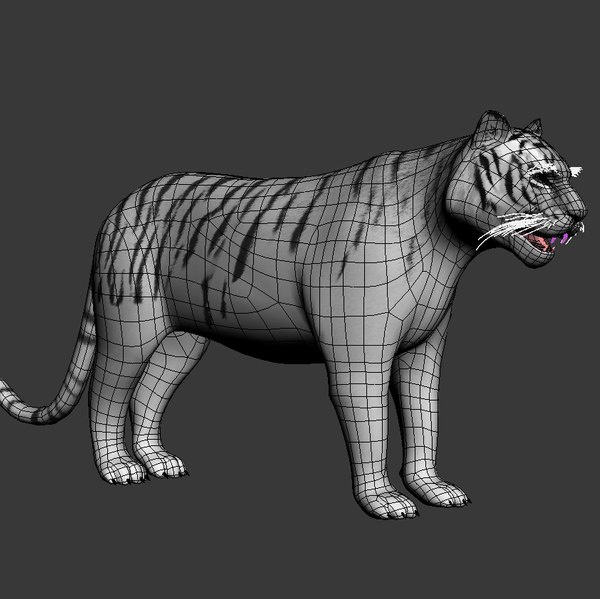 3d model of white tiger