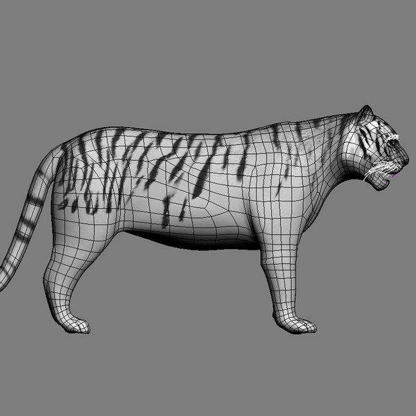 3d model of white tiger