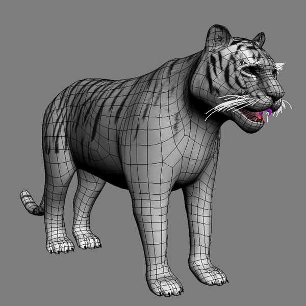 3d model of white tiger