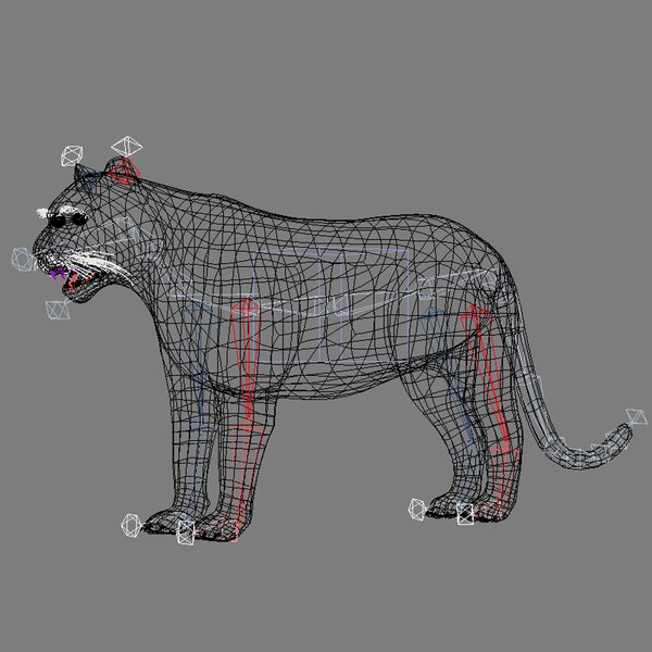 3d model of white tiger