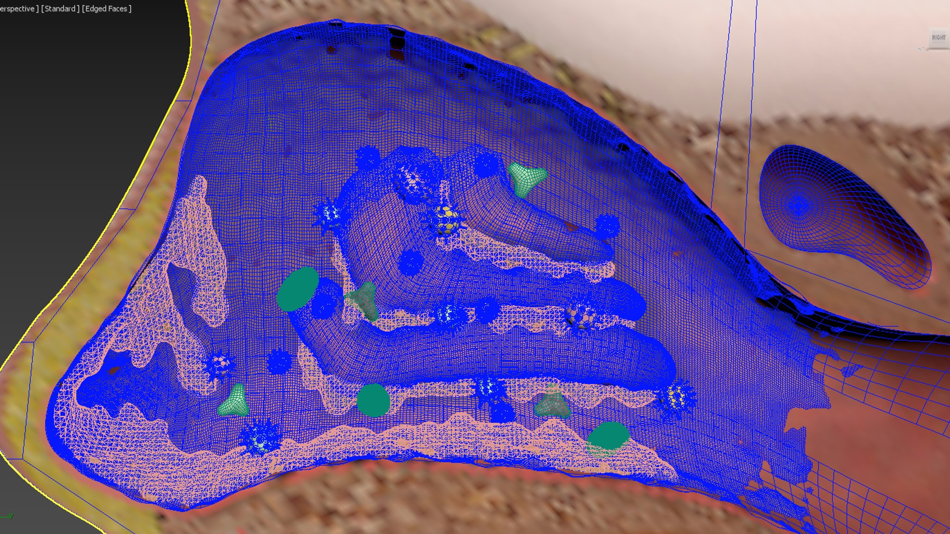 3D model head sliced anatomy - TurboSquid 1539137