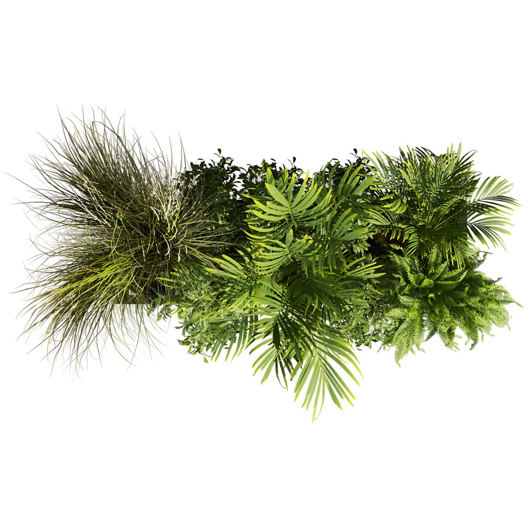 3D Model Collection Plant Vol 703 - Palm - Fern - Bush - TurboSquid 2493225