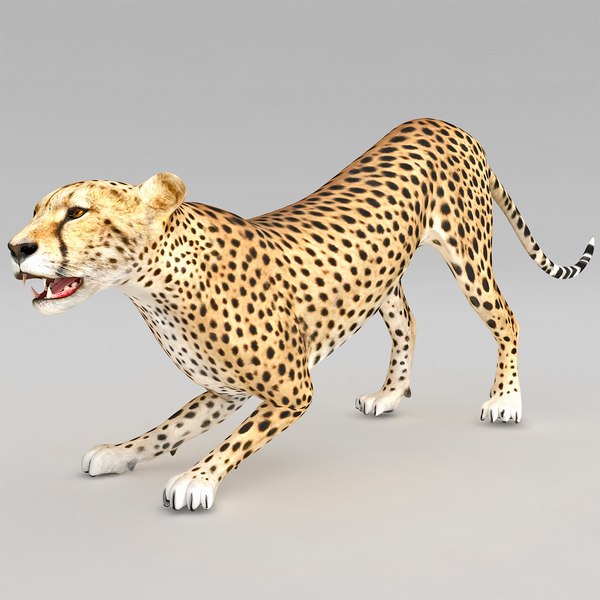 3ds max cheetah pose