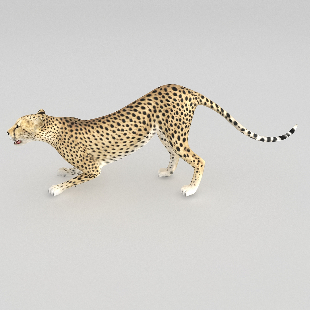 3ds Max Cheetah Pose