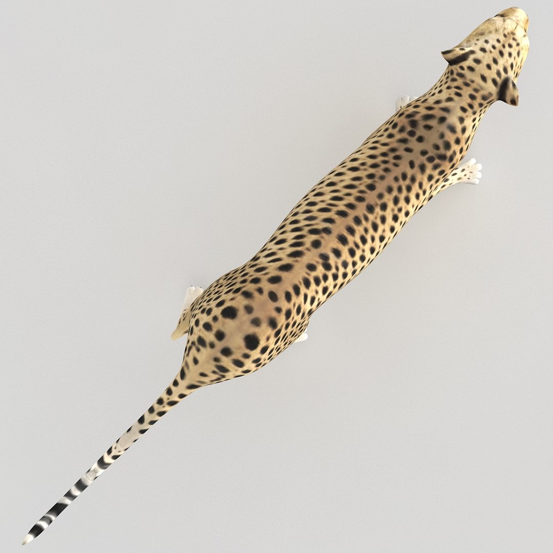 3ds Max Cheetah Pose