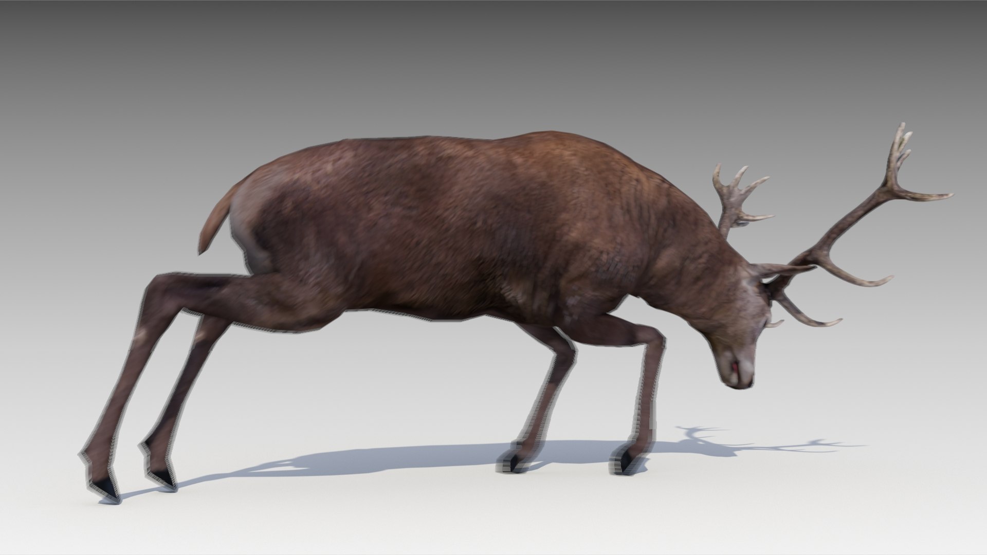3D Model Red Deer - TurboSquid 1640963