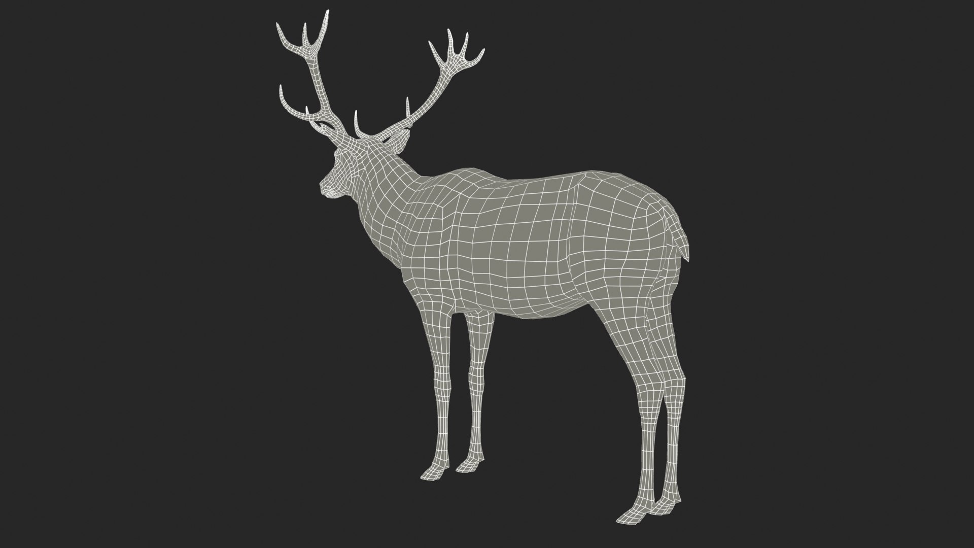 3D Model Red Deer - TurboSquid 1640963