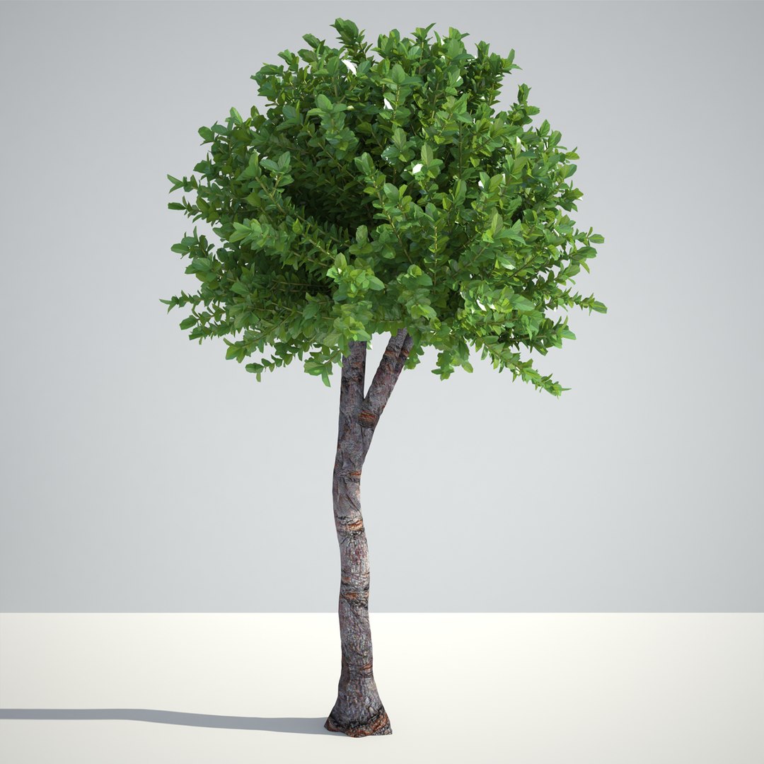 tree 3d model