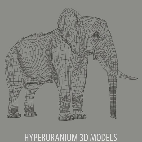 african elephant 3d model