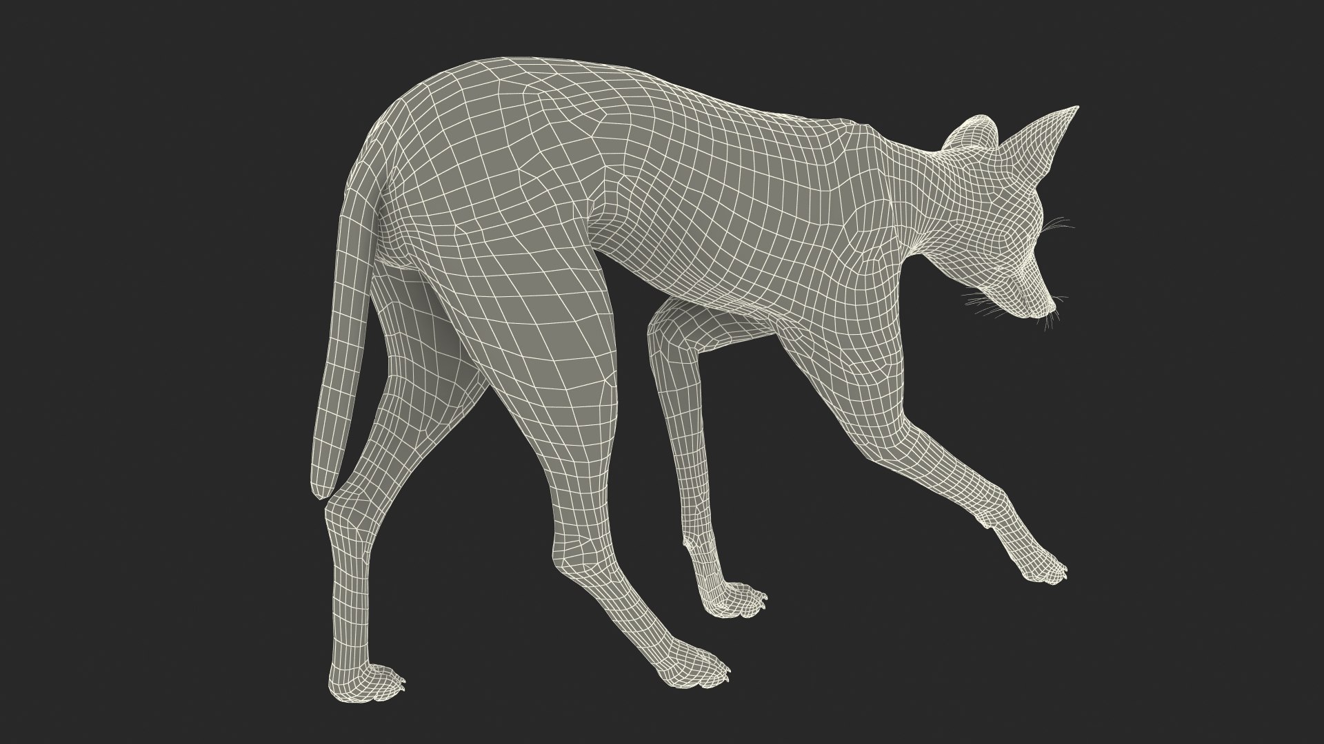 3D Maned Wolf Walking Pose Fur - TurboSquid 2202639