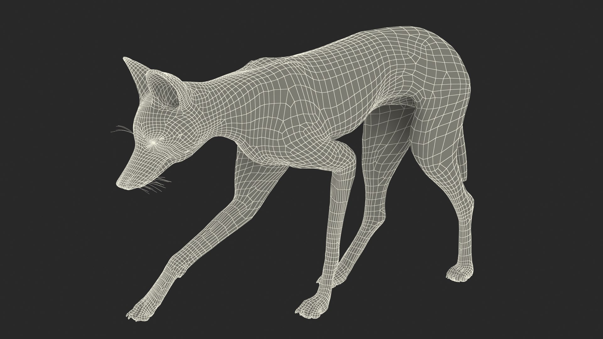3D Maned Wolf Walking Pose Fur - TurboSquid 2202639