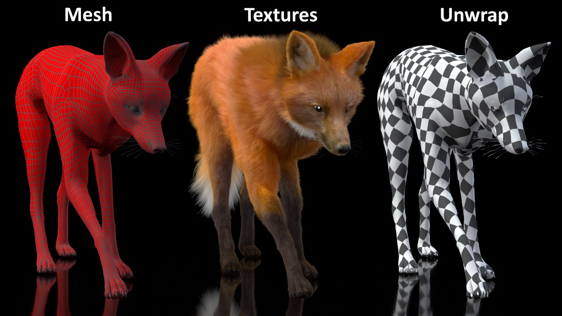 3D Maned Wolf Walking Pose Fur - TurboSquid 2202639