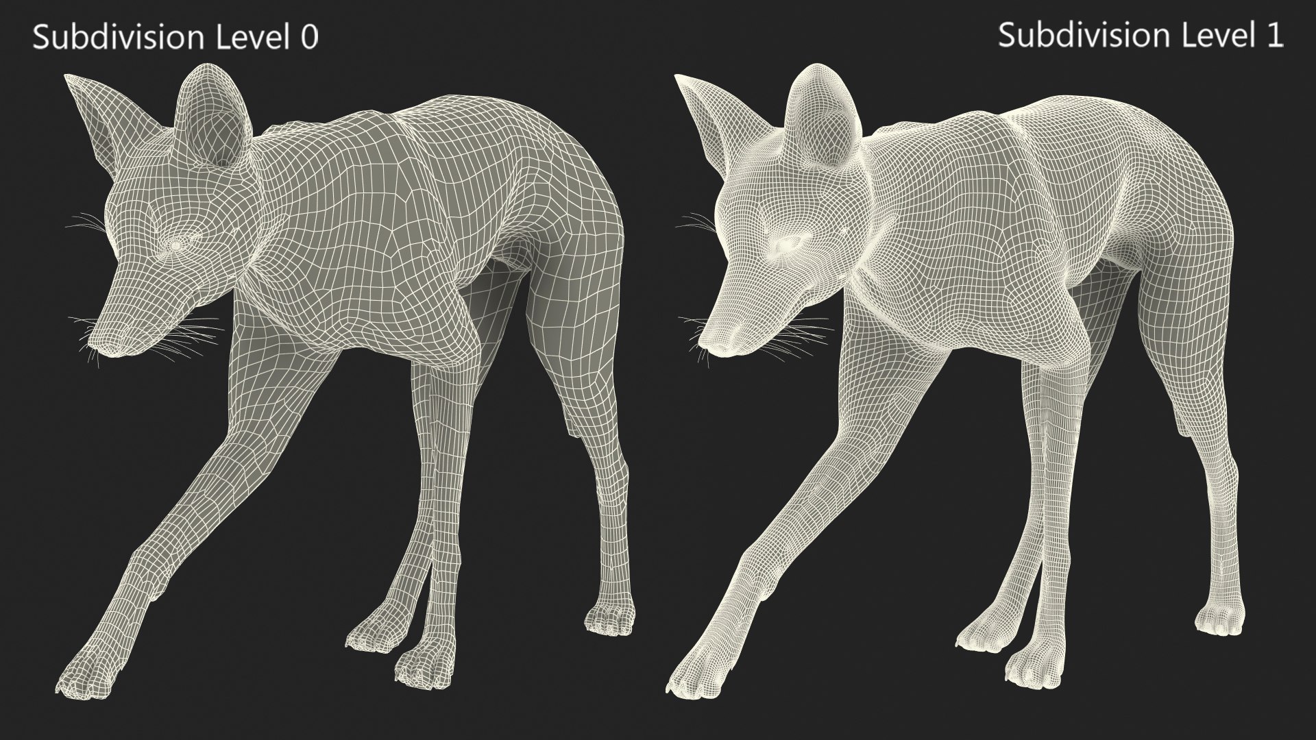 3D Maned Wolf Walking Pose Fur - TurboSquid 2202639