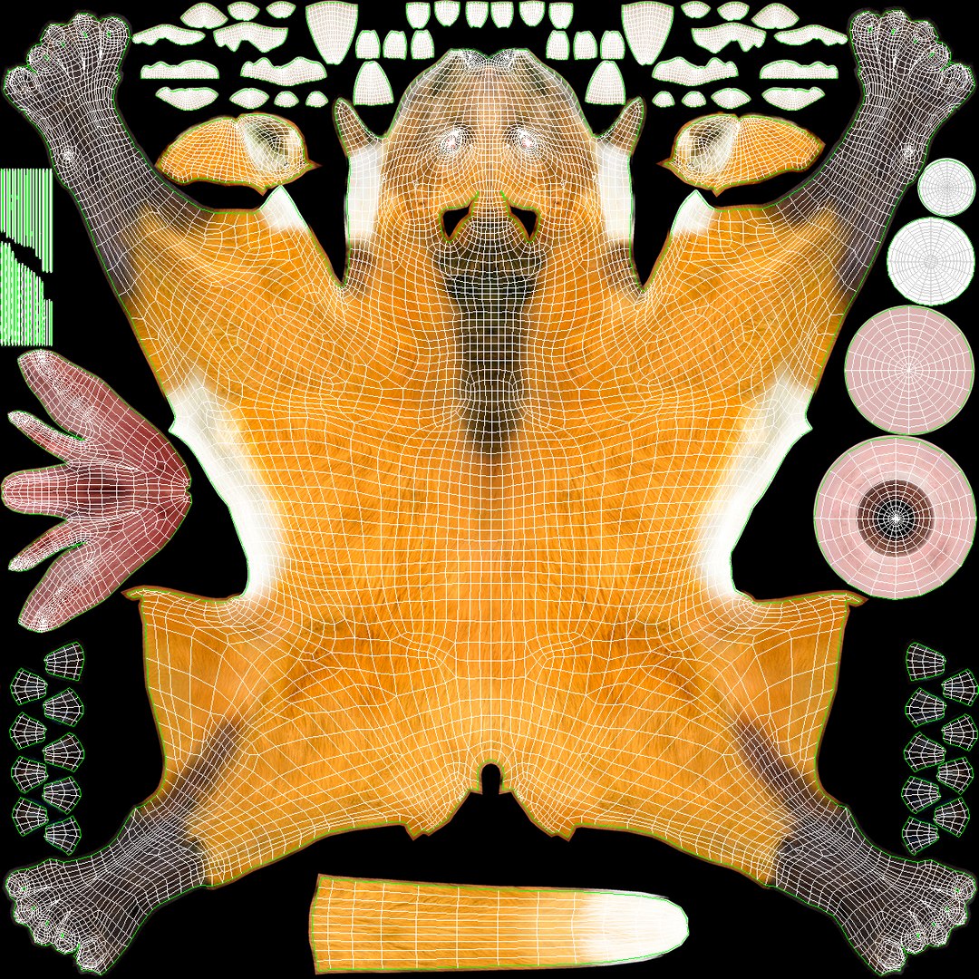 3D Maned Wolf Walking Pose Fur - TurboSquid 2202639