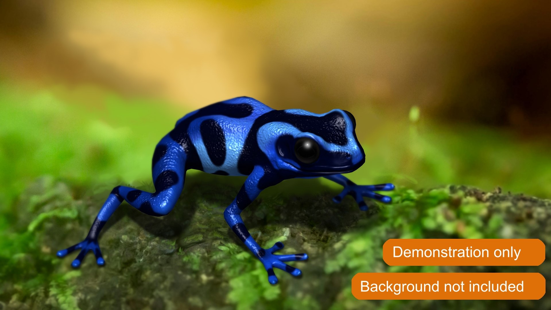 Dendrobate Auratus 3D - TurboSquid 2204274