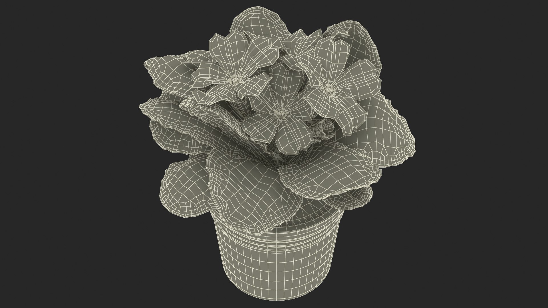 3D Red Potted Primrose - TurboSquid 2071345