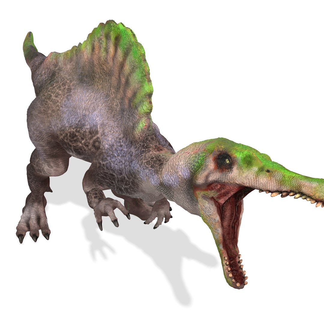 SPINOSAURUS DINOSAUR SPINO 3D Model - TurboSquid 2209420