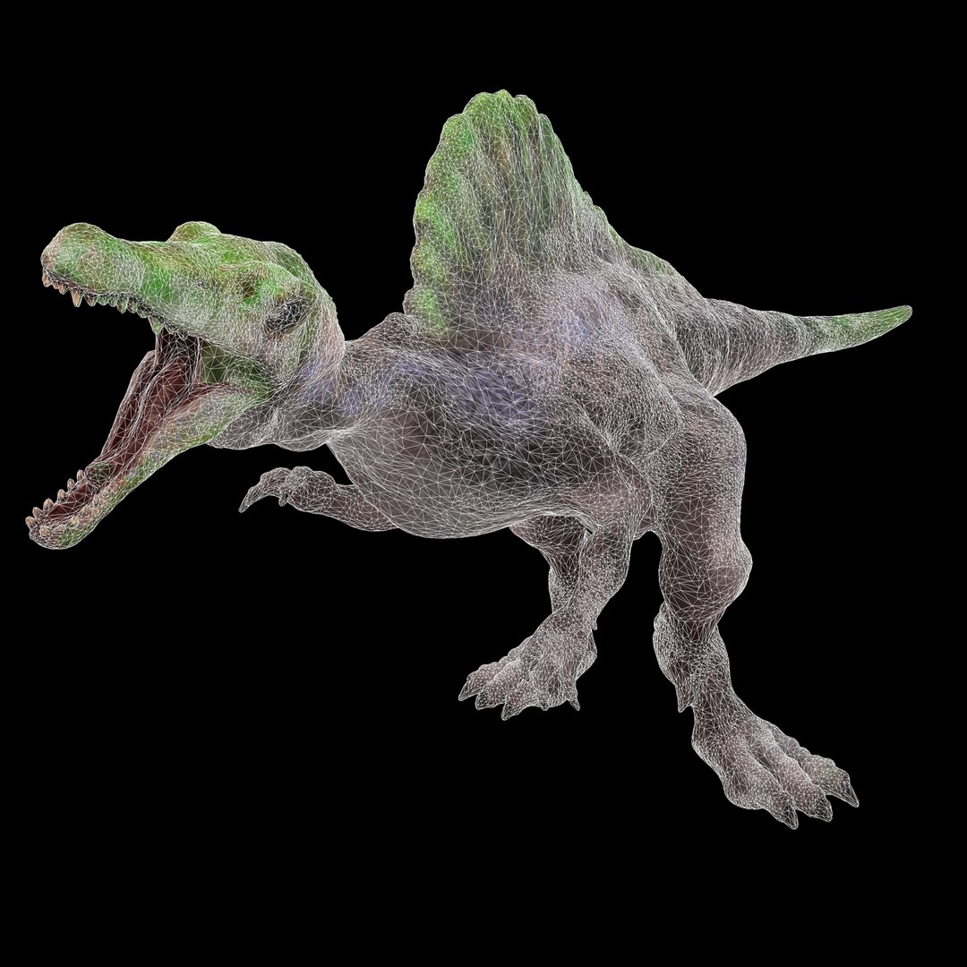 SPINOSAURUS DINOSAUR SPINO 3D Model - TurboSquid 2209420