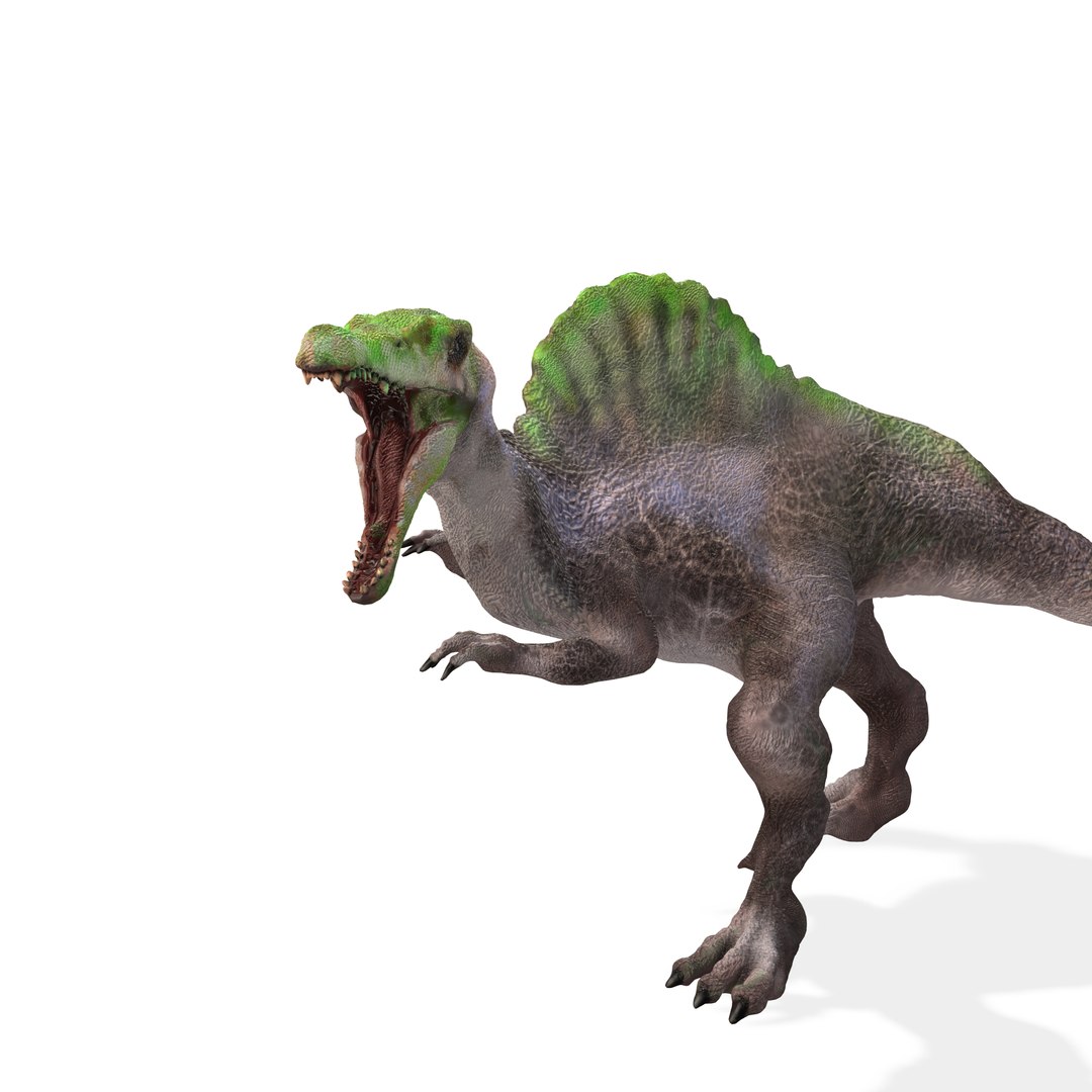 SPINOSAURUS DINOSAUR SPINO 3D Model - TurboSquid 2209420
