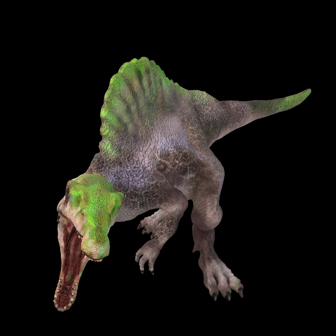 SPINOSAURUS DINOSAUR SPINO 3D Model - TurboSquid 2209420