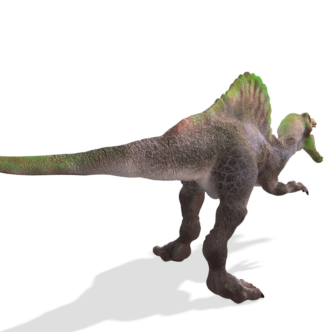 SPINOSAURUS DINOSAUR SPINO 3D Model - TurboSquid 2209420
