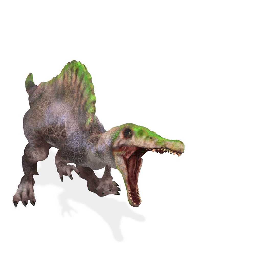 SPINOSAURUS DINOSAUR SPINO 3D Model - TurboSquid 2209420