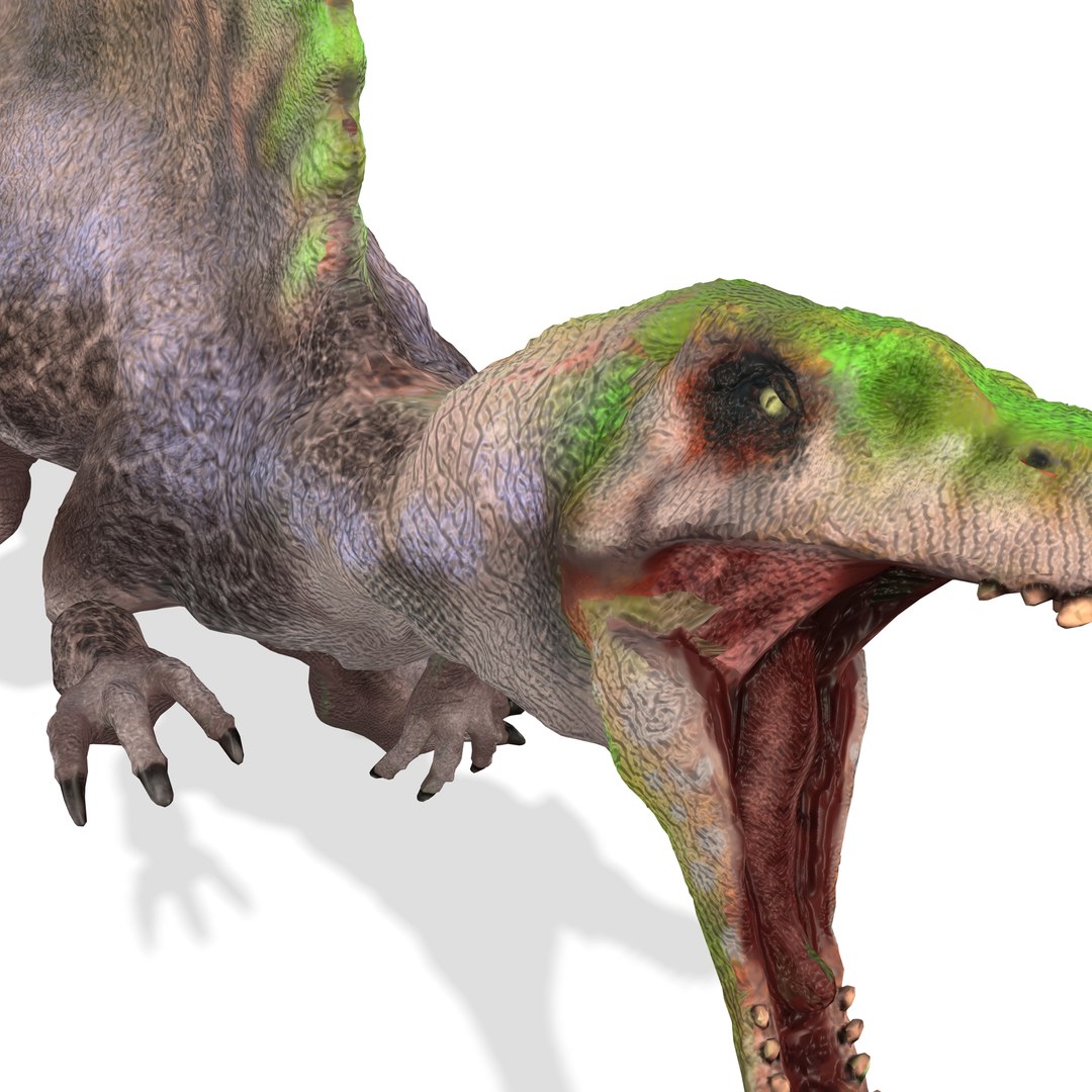 SPINOSAURUS DINOSAUR SPINO 3D Model - TurboSquid 2209420