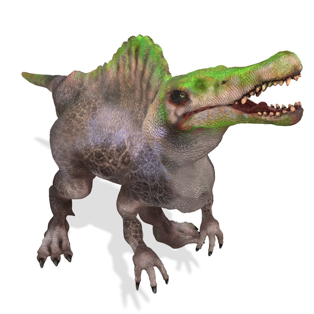 SPINOSAURUS DINOSAUR SPINO 3D Model - TurboSquid 2209420