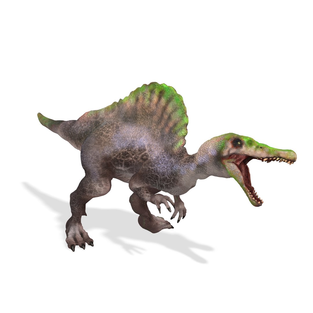 SPINOSAURUS DINOSAUR SPINO 3D Model - TurboSquid 2209420