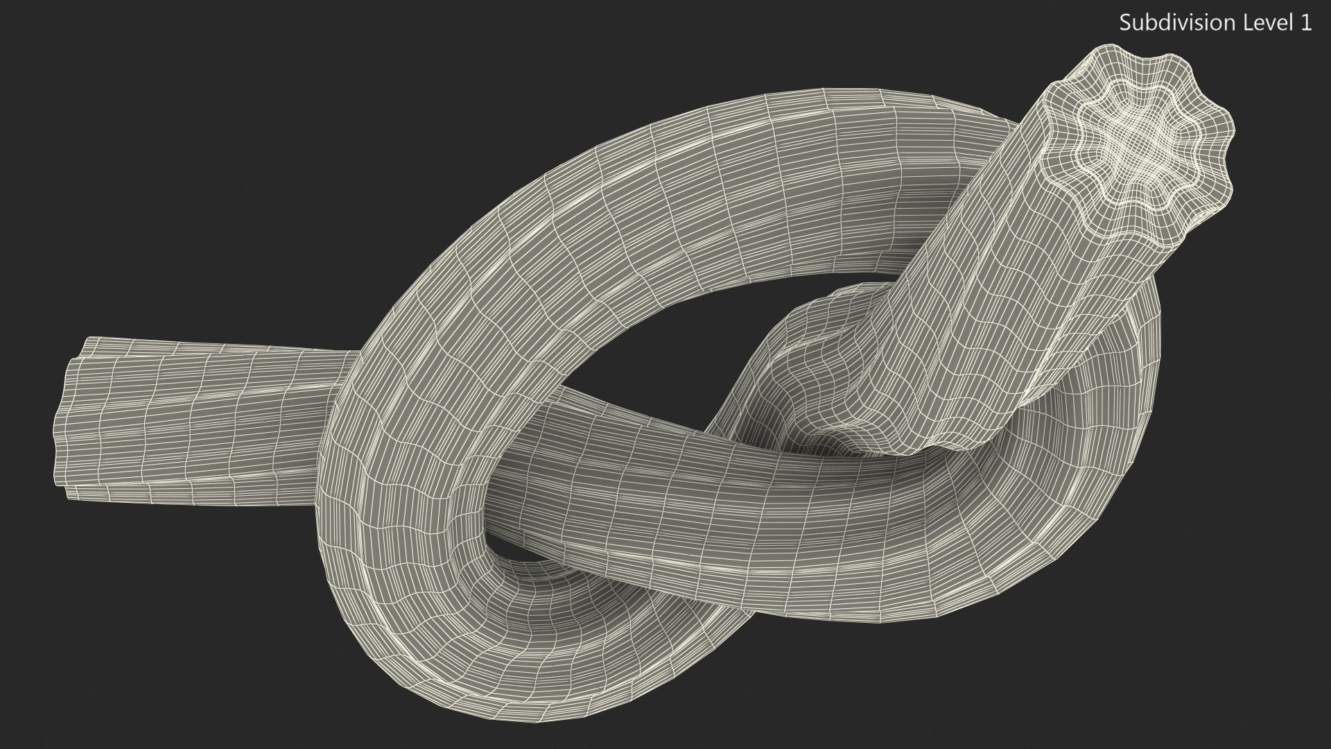 Licorice Twisted Rope Candy Tied in Knot model - TurboSquid 1736784