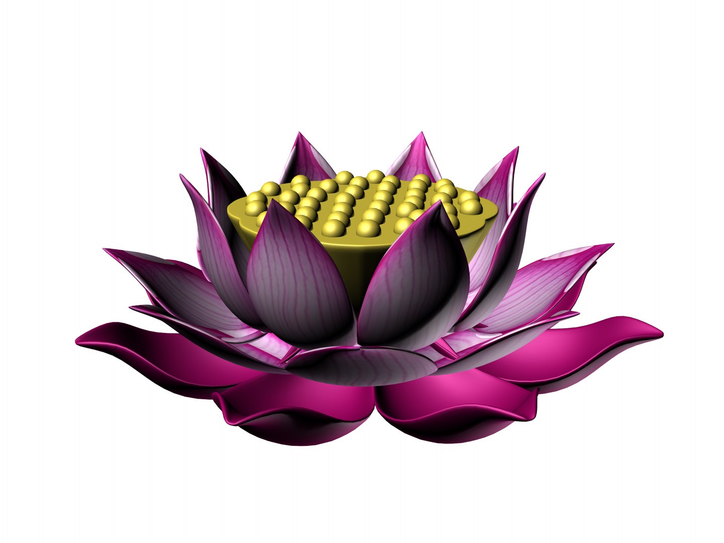 3D Lotus Flower 3D Model - TurboSquid 1893799
