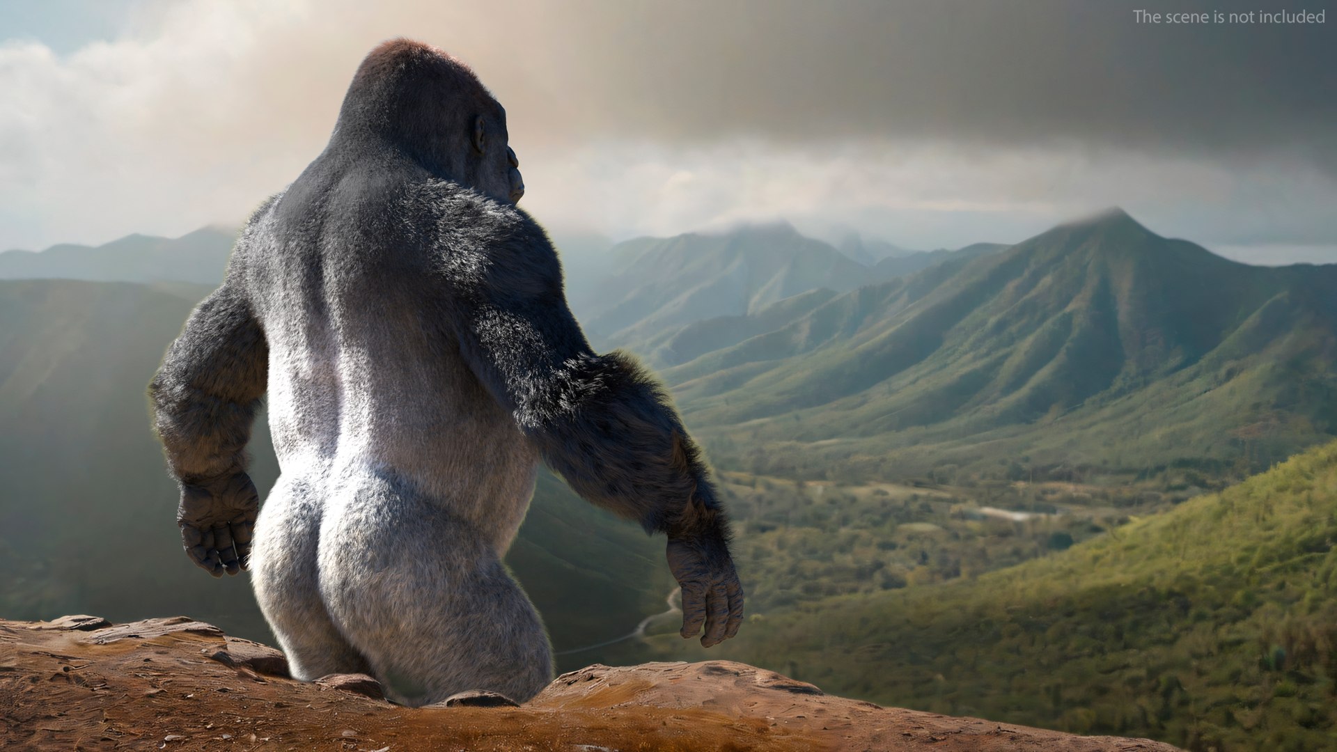 Western Gorilla Base Pose Fur 3D - TurboSquid 2193340