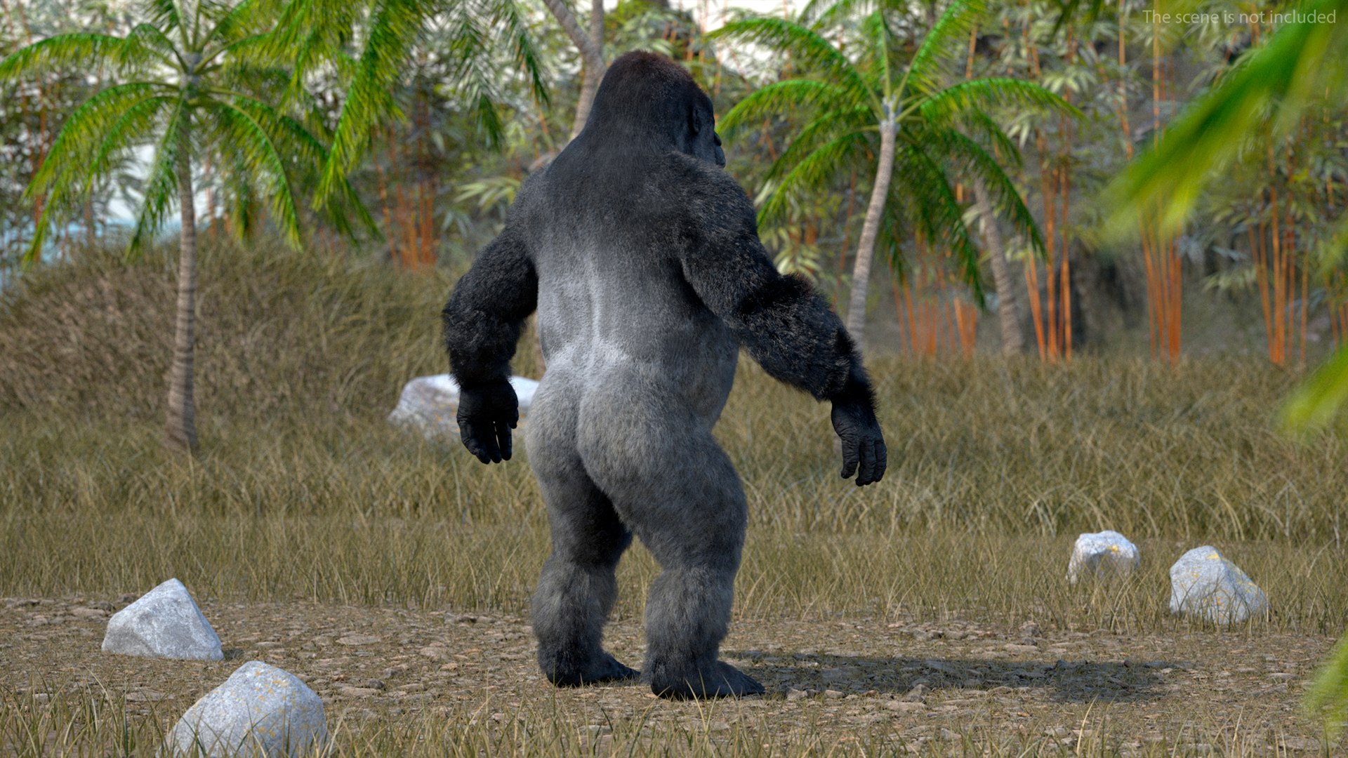 Western Gorilla Base Pose Fur 3D - TurboSquid 2193340