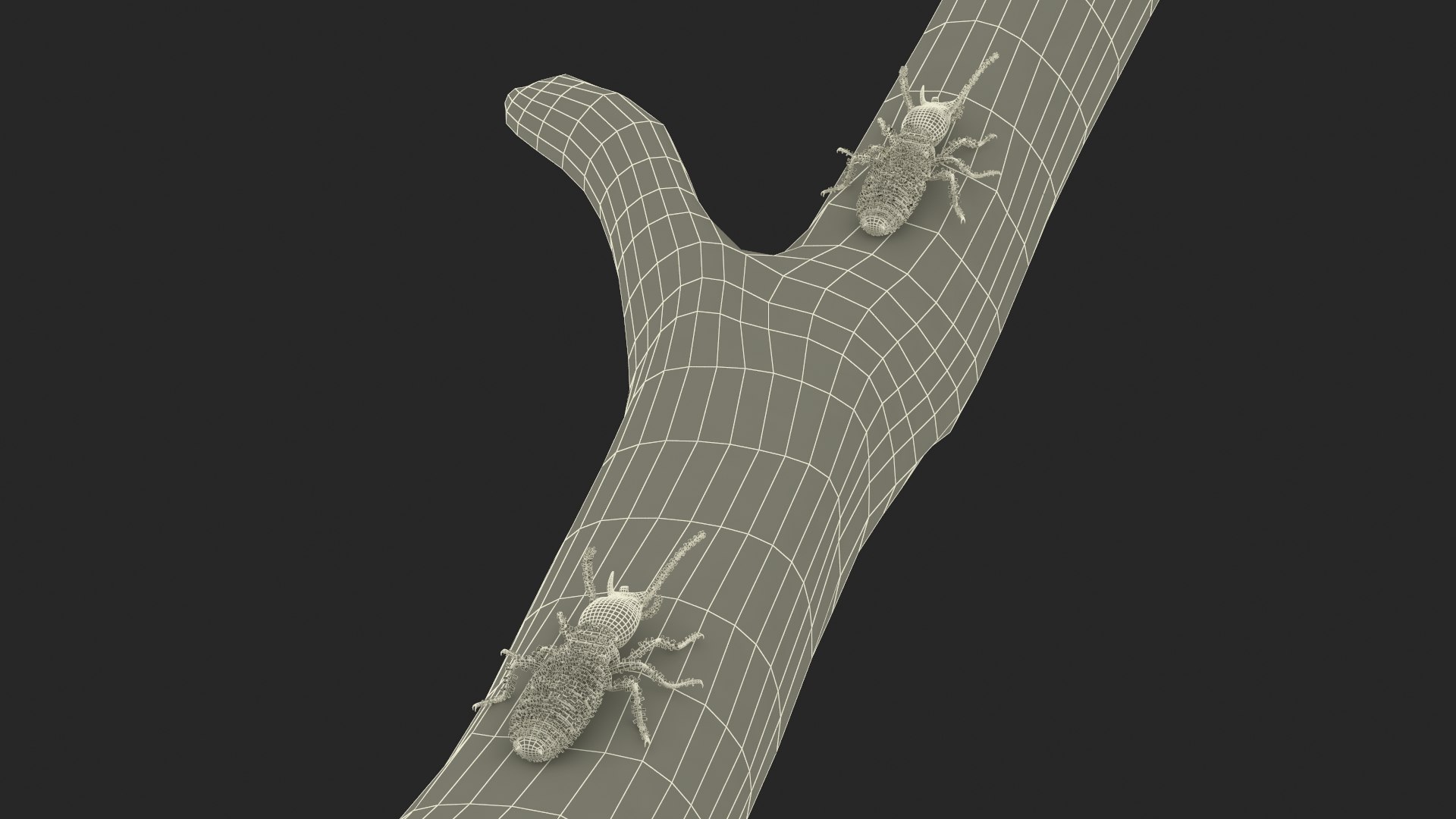 Tree Branch With Termites 3D Model - TurboSquid 2328660
