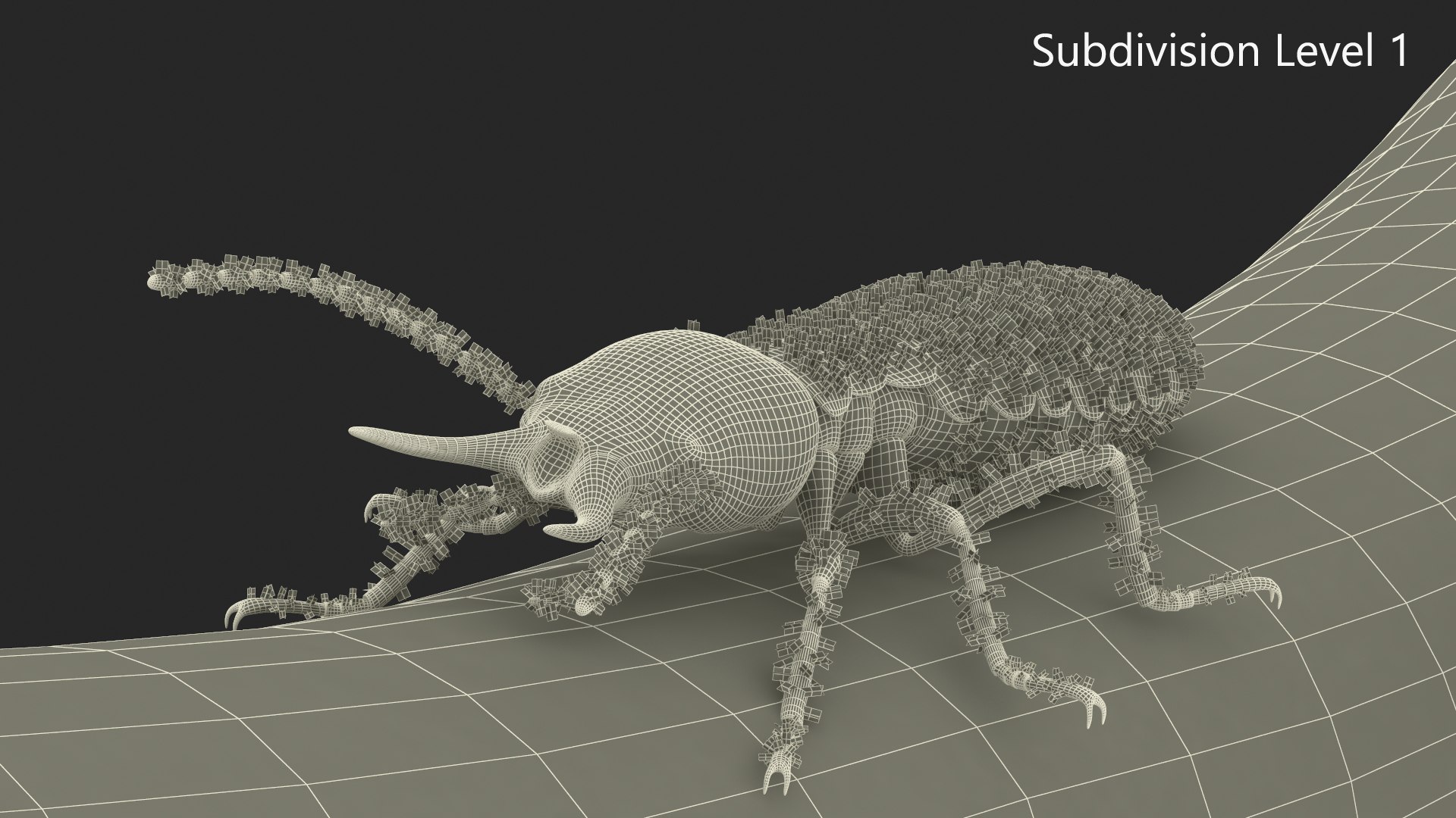 Tree Branch With Termites 3D Model - TurboSquid 2328660