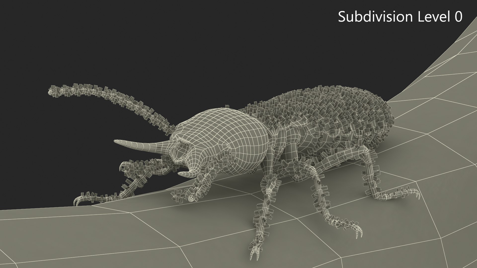 Tree Branch With Termites 3D Model - TurboSquid 2328660