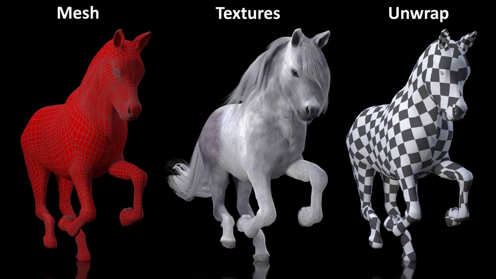 3D Galloping White Pony With Long Mane Fur Model - TurboSquid 2236680