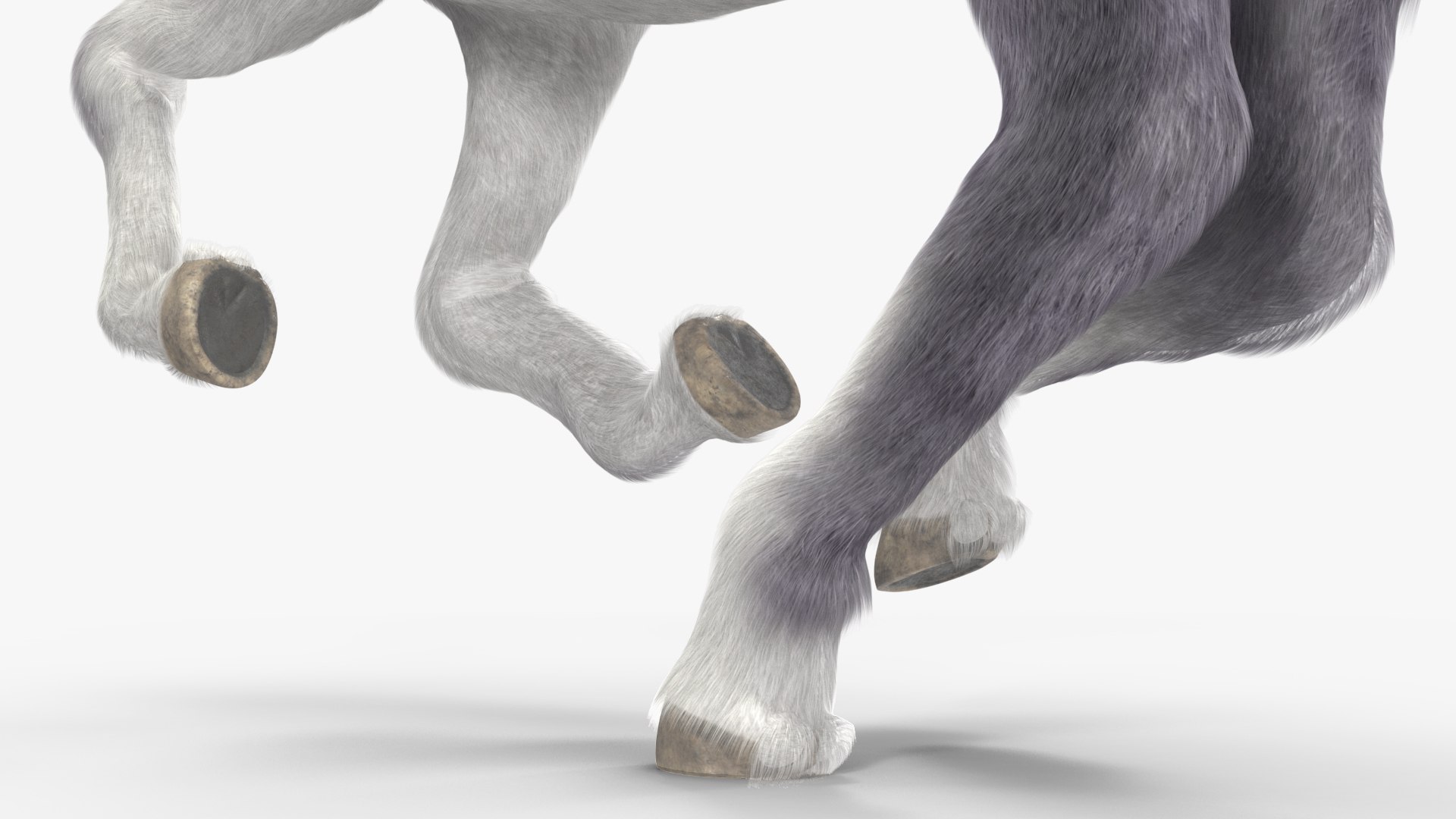 3D Galloping White Pony With Long Mane Fur Model - TurboSquid 2236680