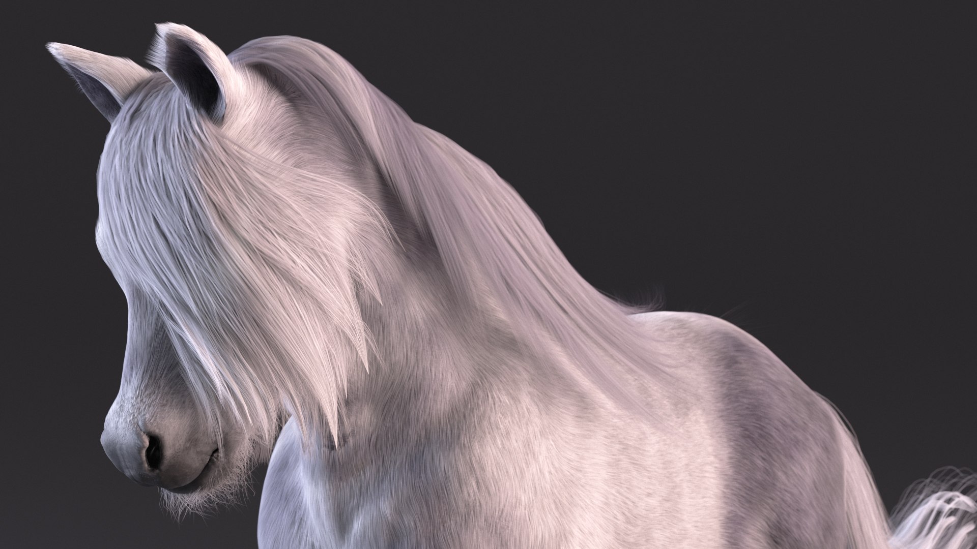 3D Galloping White Pony With Long Mane Fur Model - TurboSquid 2236680