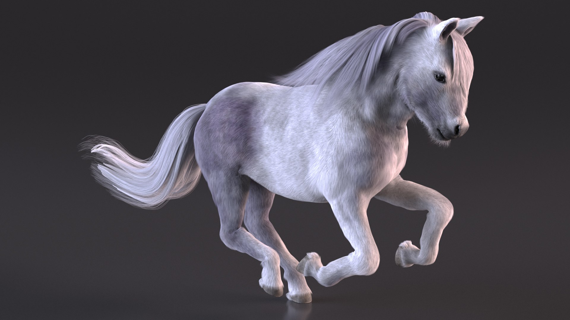 3D Galloping White Pony With Long Mane Fur Model - TurboSquid 2236680