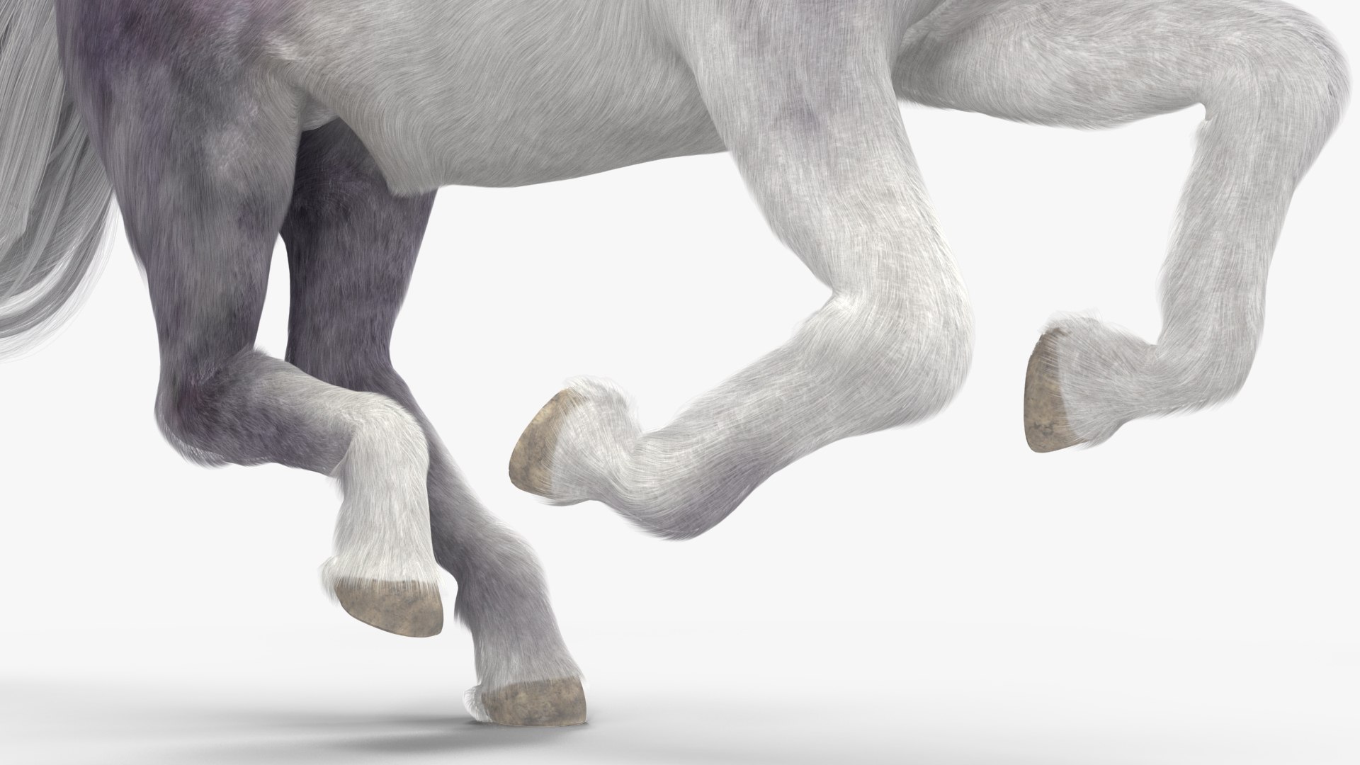 3D Galloping White Pony With Long Mane Fur Model - TurboSquid 2236680