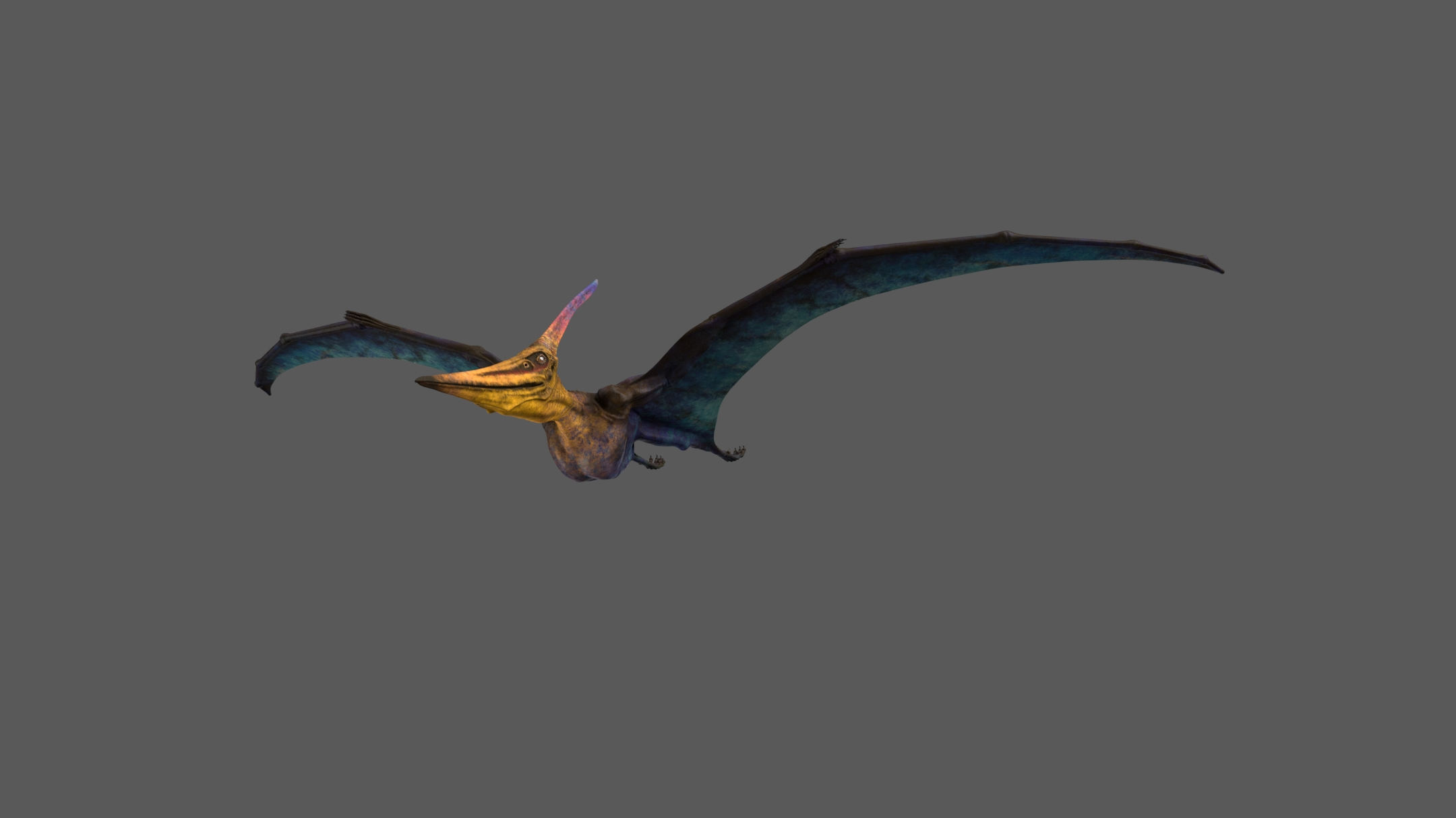 Pteranodon Longiceps Cyan Animated 3D 모델 - TurboSquid 1522611