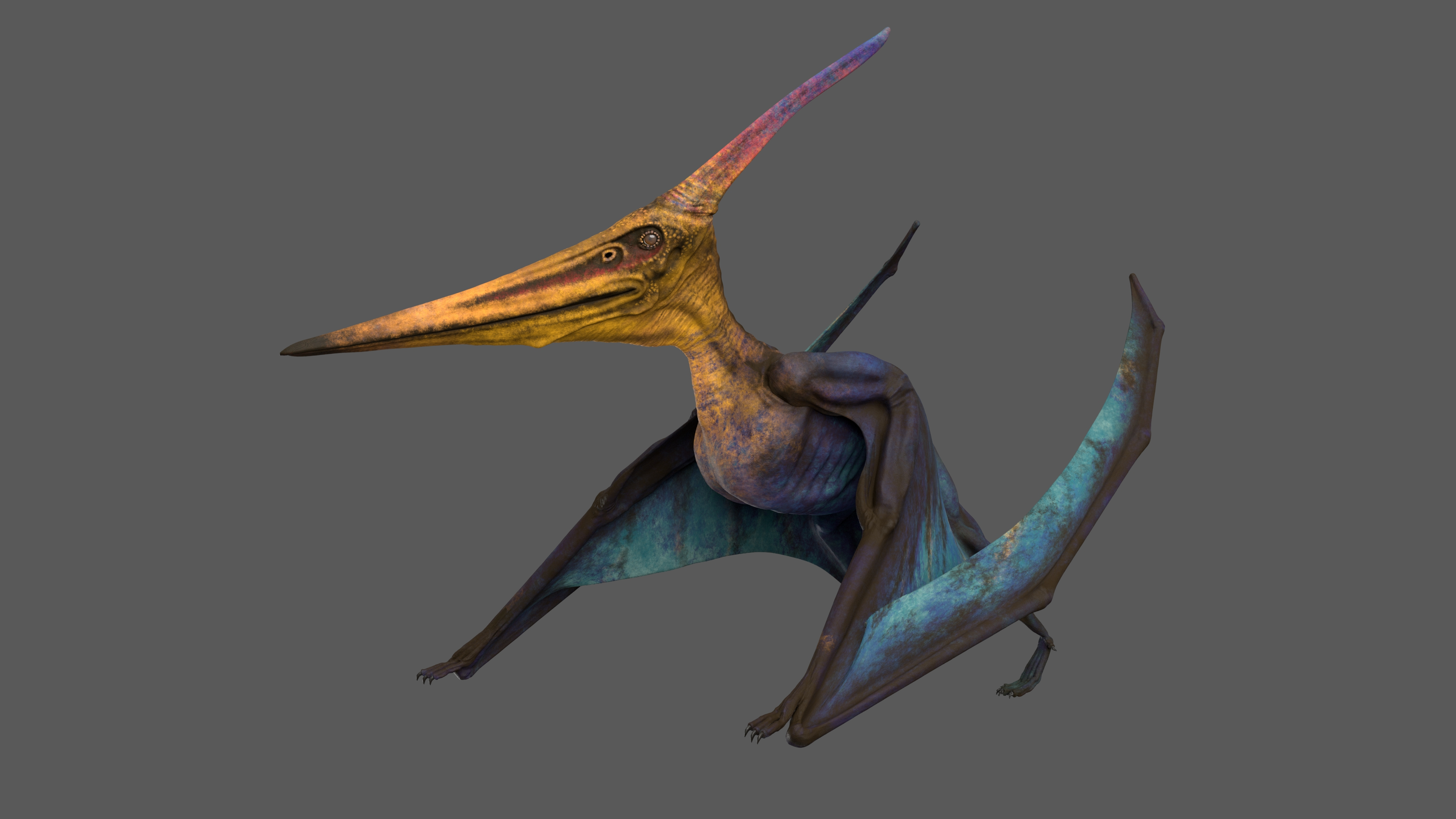 Pteranodon Longiceps Cyan Animated 3D 모델 - TurboSquid 1522611