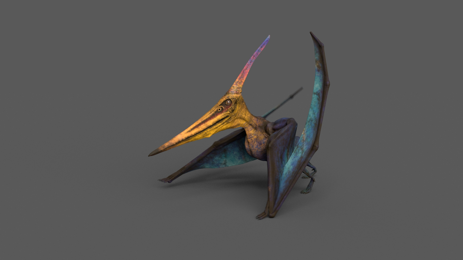 3D Pteranodon Longiceps Cyan Animation Flying - TurboSquid 1522611