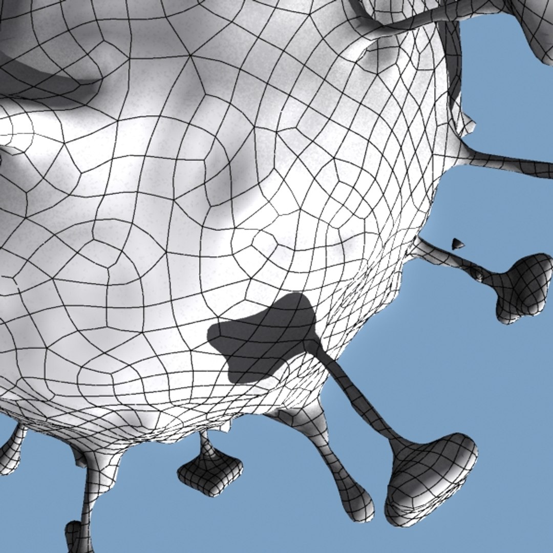 Nipah Virus 3d Model