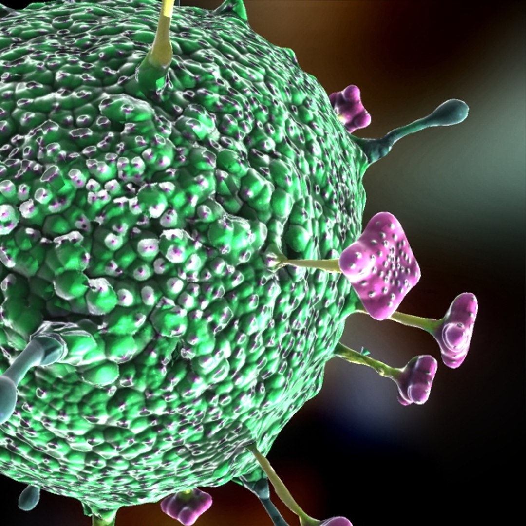 Nipah Virus 3d Model