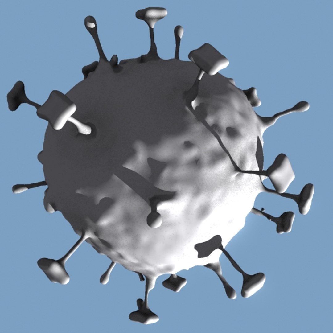 Nipah Virus 3d Model